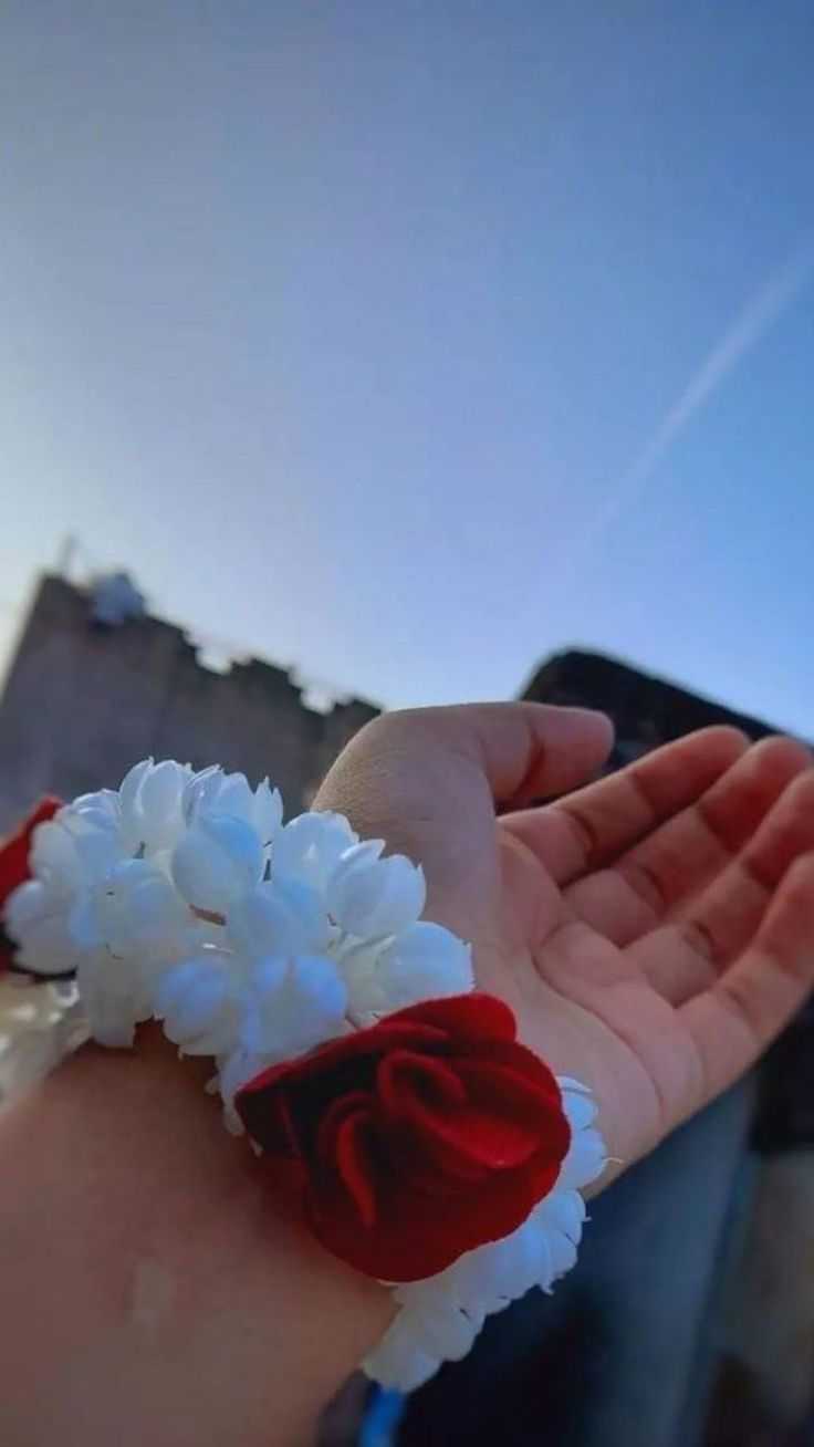 [1080+] Flowers DP for WhatsApp, Photos, Images and Pics Download Now ...