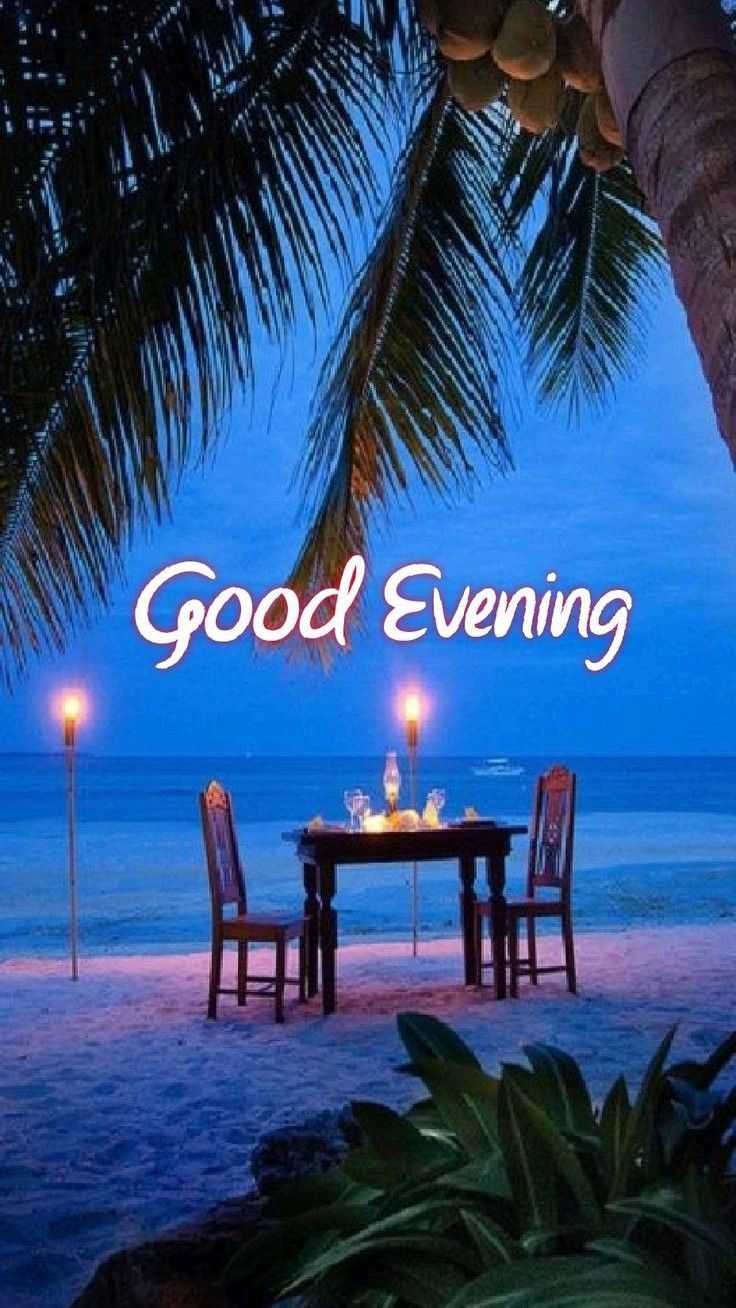 [430+] HD Good Evening Images, Photos & Pics - Download Now - BuzzFreek