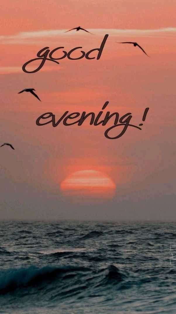 [430+] HD Good Evening Images, Photos & Pics - Download Now - BuzzFreek
