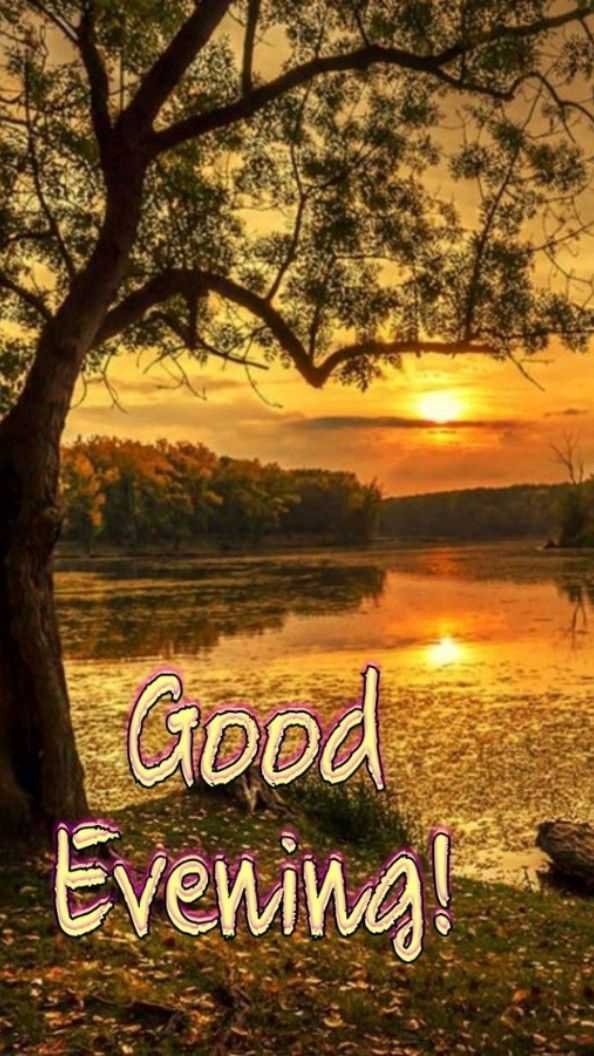[430+] HD Good Evening Images, Photos & Pics - Download Now - BuzzFreek