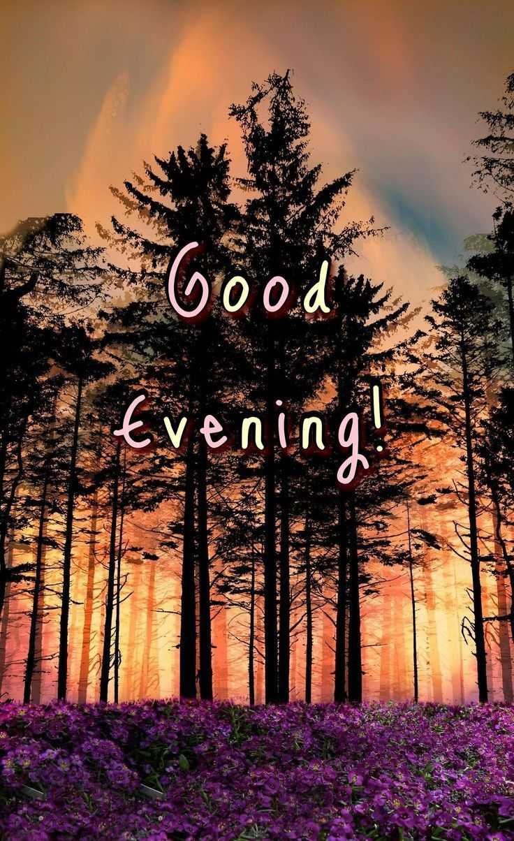 [430+] HD Good Evening Images, Photos & Pics - Download Now - BuzzFreek