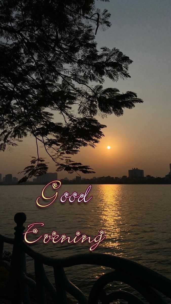 [430+] HD Good Evening Images, Photos & Pics - Download Now - BuzzFreek