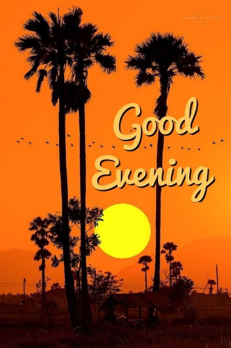 [430+] HD Good Evening Images, Photos & Pics - Download Now - BuzzFreek
