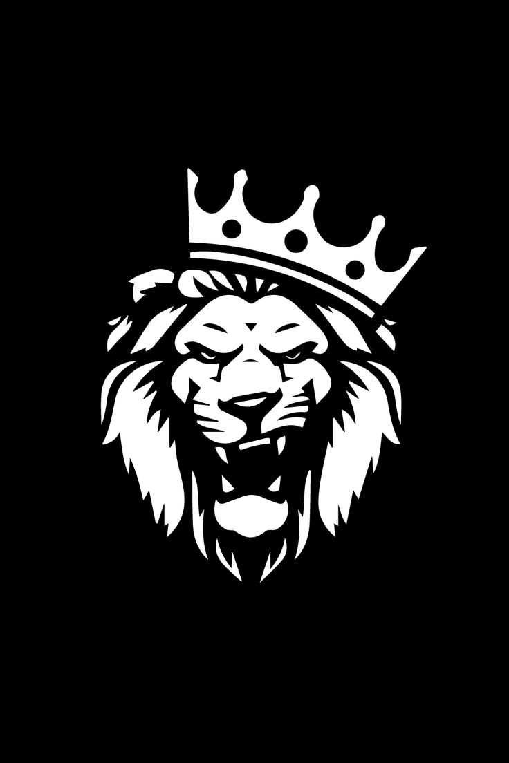 [1050+] Stunning HD Lion DP, Photos, Images, Pictures and Wallpapers ...