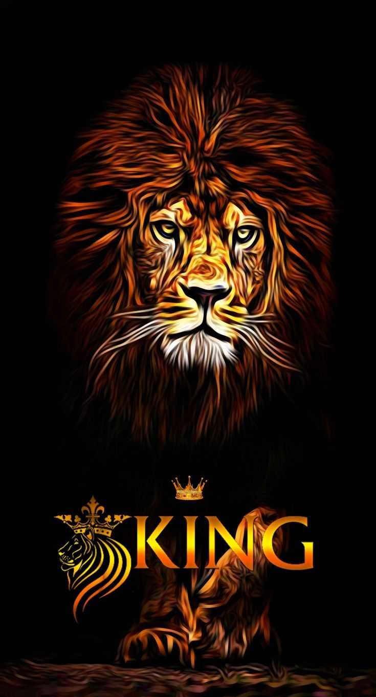 [1050+] Stunning HD Lion DP, Photos, Images, Pictures and Wallpapers ...