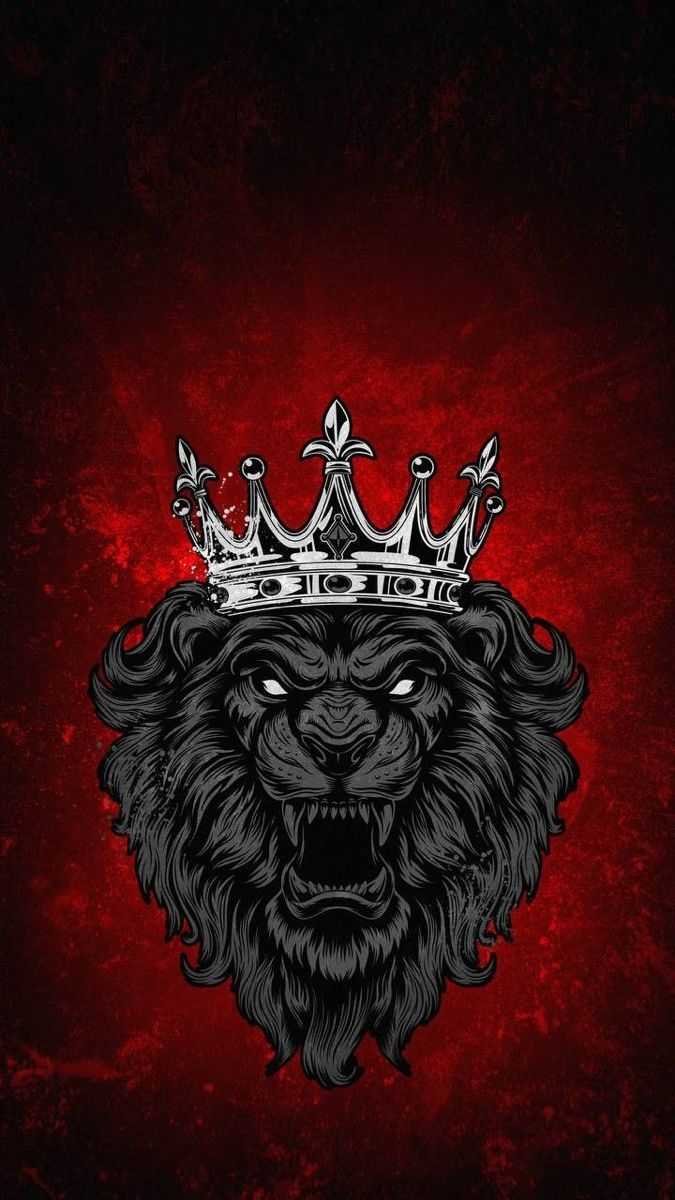 [1050+] Stunning HD Lion DP, Photos, Images, Pictures and Wallpapers ...