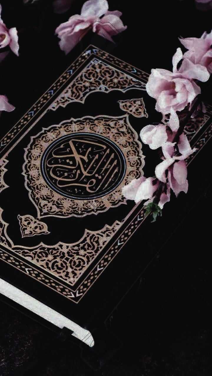 [1225+] HD Beautiful Quran DP, Photos, Images, Pictures & Wallpapers ...
