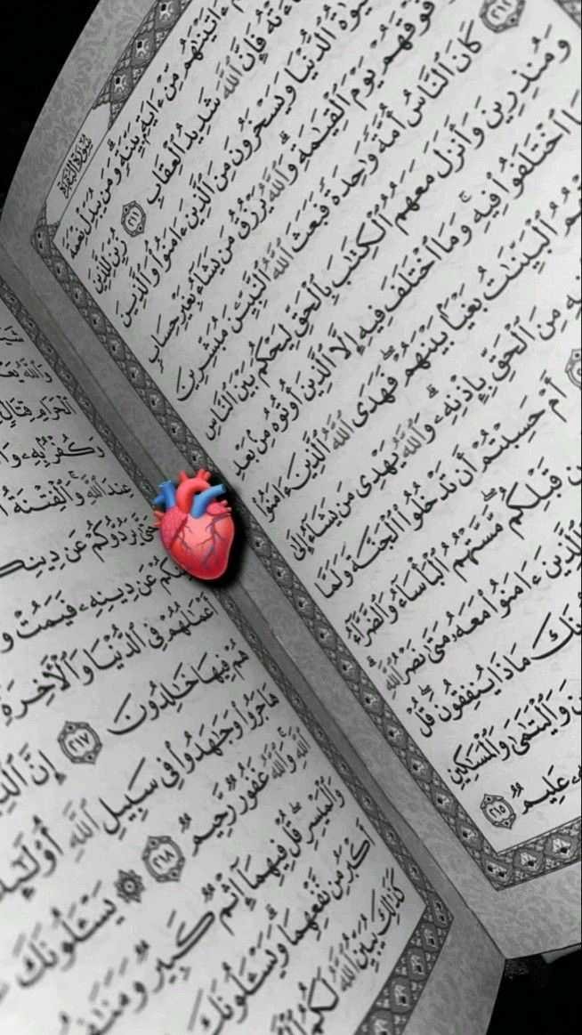 [1225+] HD Beautiful Quran DP, Photos, Images, Pictures & Wallpapers ...