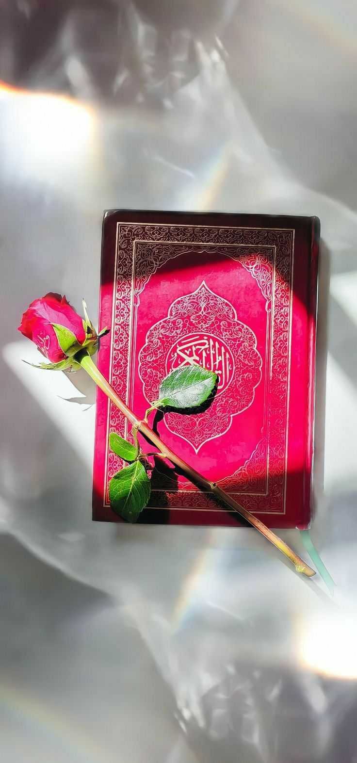[1225+] HD Beautiful Quran DP, Photos, Images, Pictures & Wallpapers ...